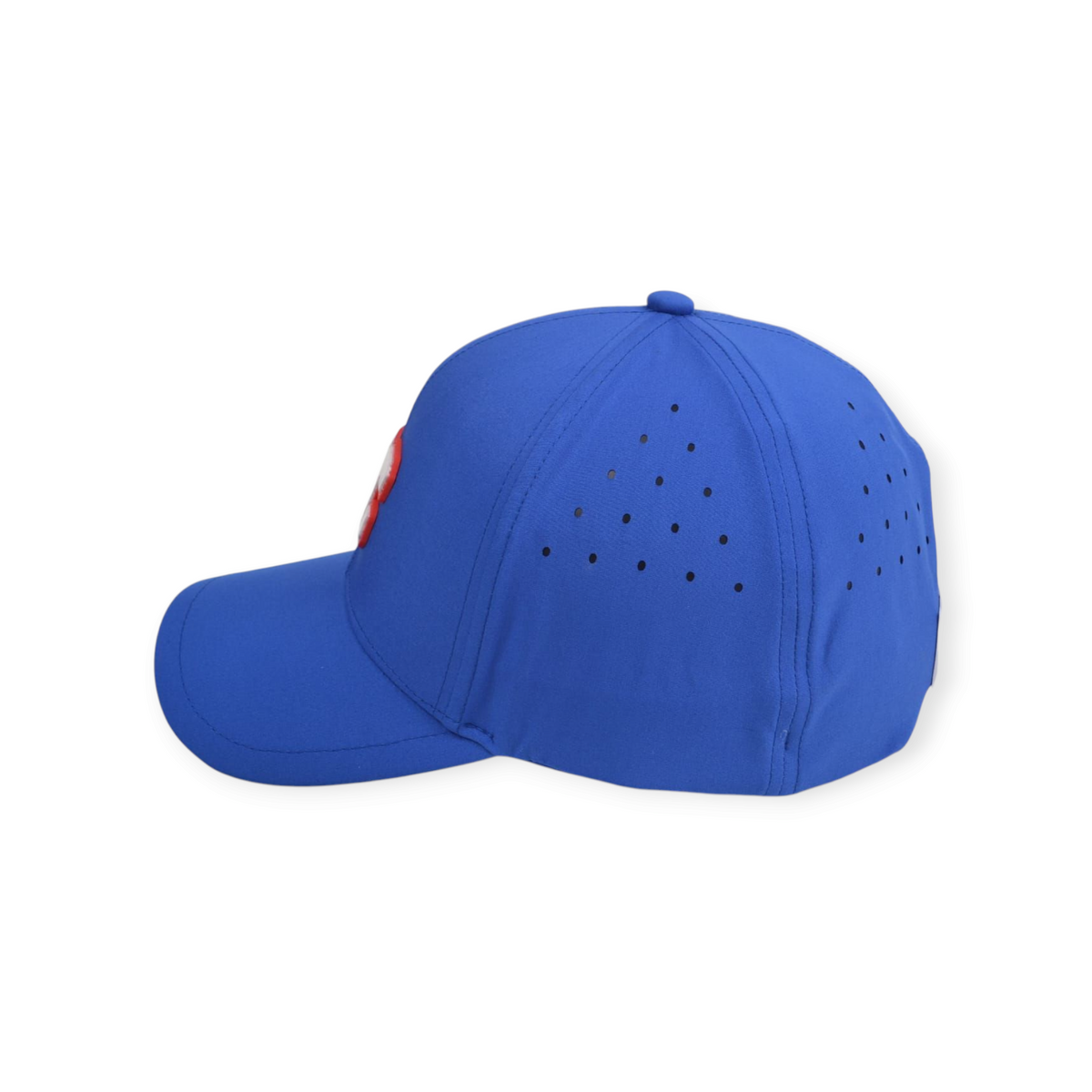 Delhi Capitals FlexGrip Premium Rubber Logo – valientecaps